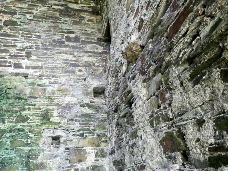 Kilcoe Castle | Roaringwater Journal