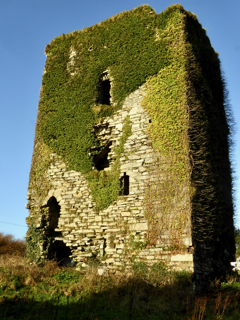 Ardintenant Castle | Roaringwater Journal