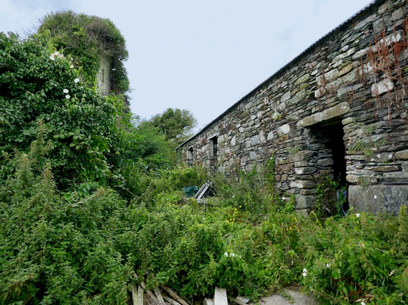 Ardintenant Castle | Roaringwater Journal