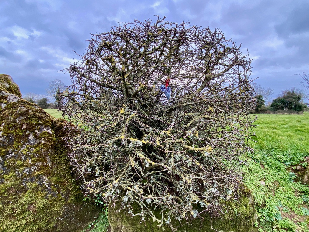 Grange – Ireland’s Largest Stone Circle | Roaringwater Journal