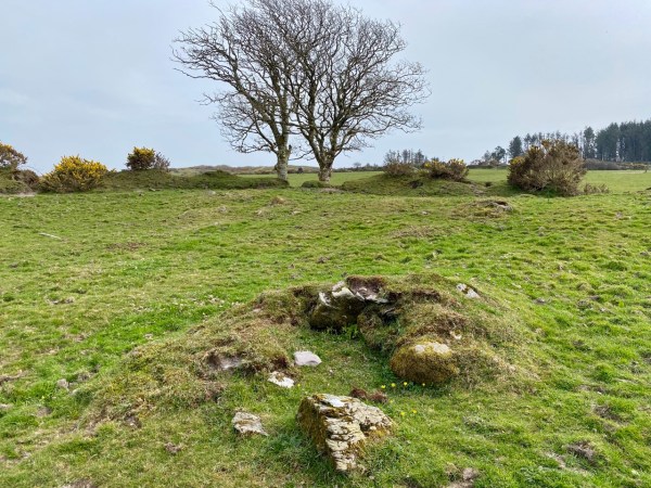 Ringforts | Roaringwater Journal