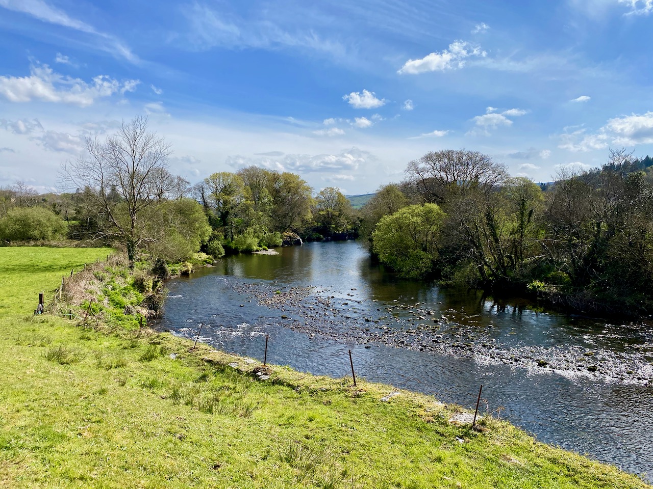 Orpen Family Ireland | Roaringwater Journal