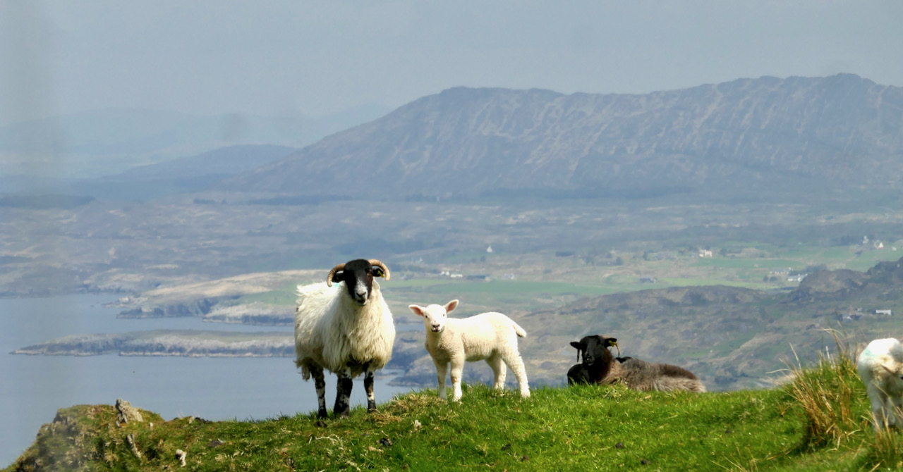 Gortduv Loop Walk | Roaringwater Journal
