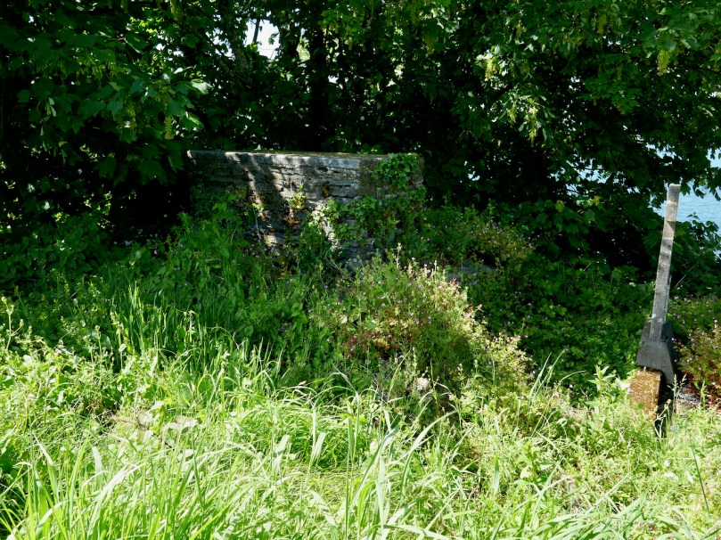 ‘This is Our History’: The Abbey Graveyard Project in Bantry ...