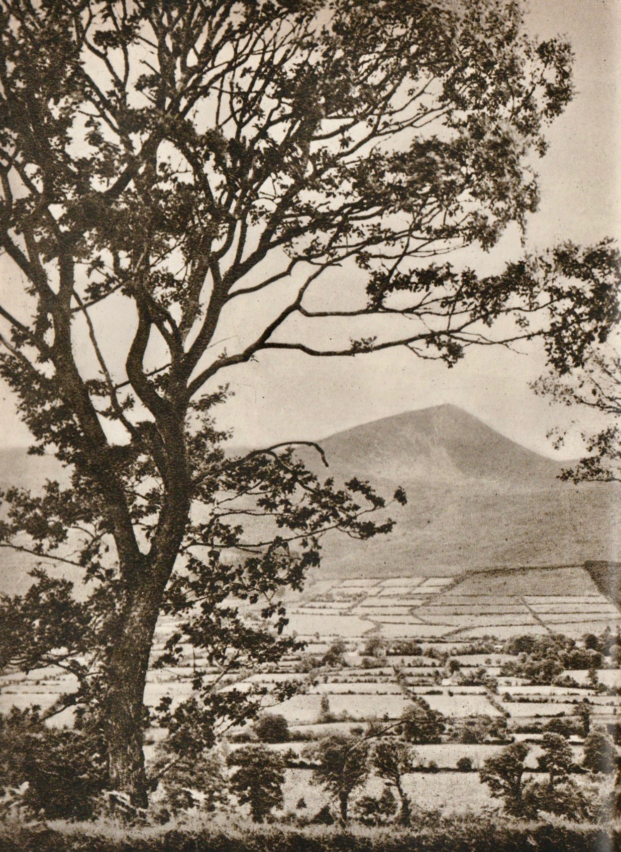 Ireland in the 1930s | Roaringwater Journal
