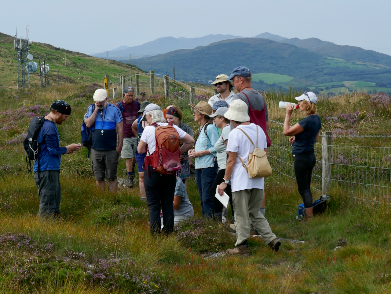 Boulders, Books, Boats and Bogs | Roaringwater Journal
