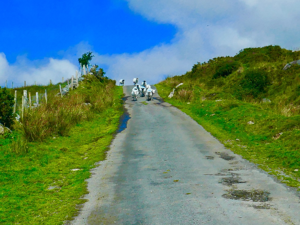 Small Roads | Roaringwater Journal