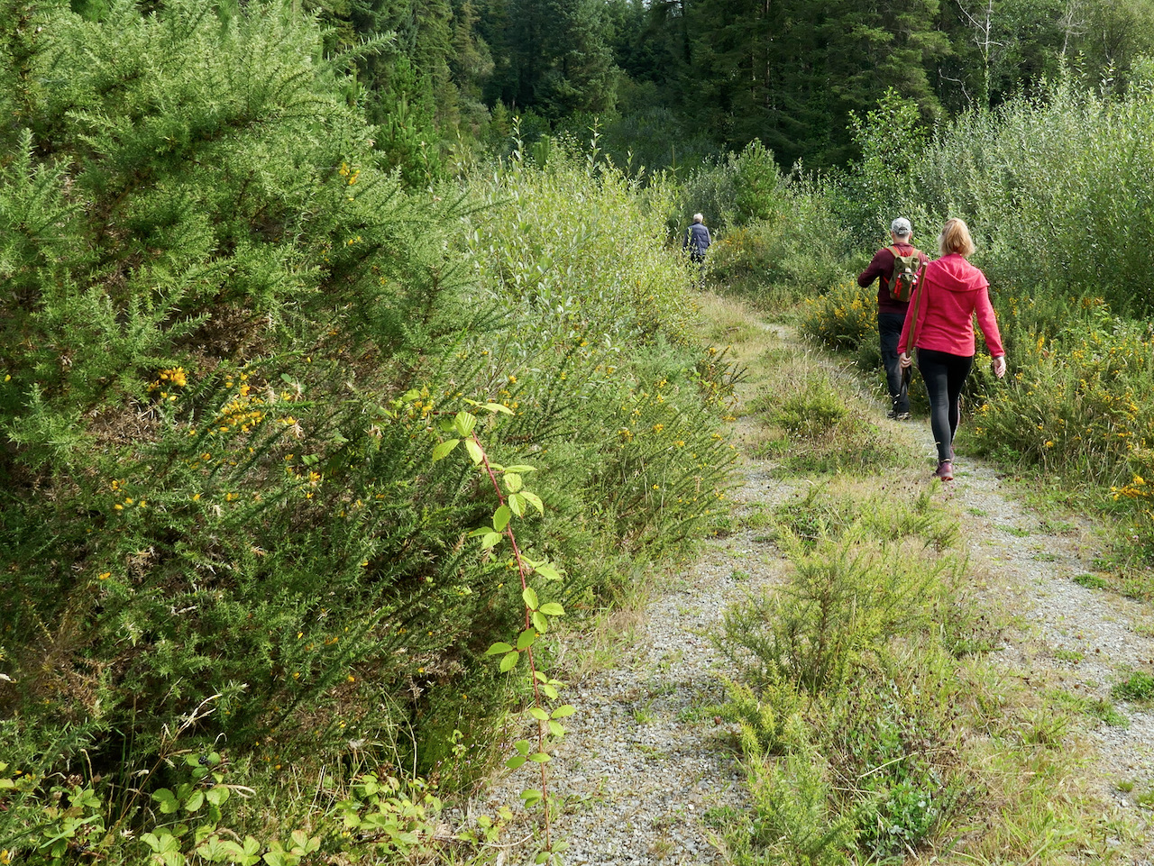 Garrane Mass Rock | Roaringwater Journal