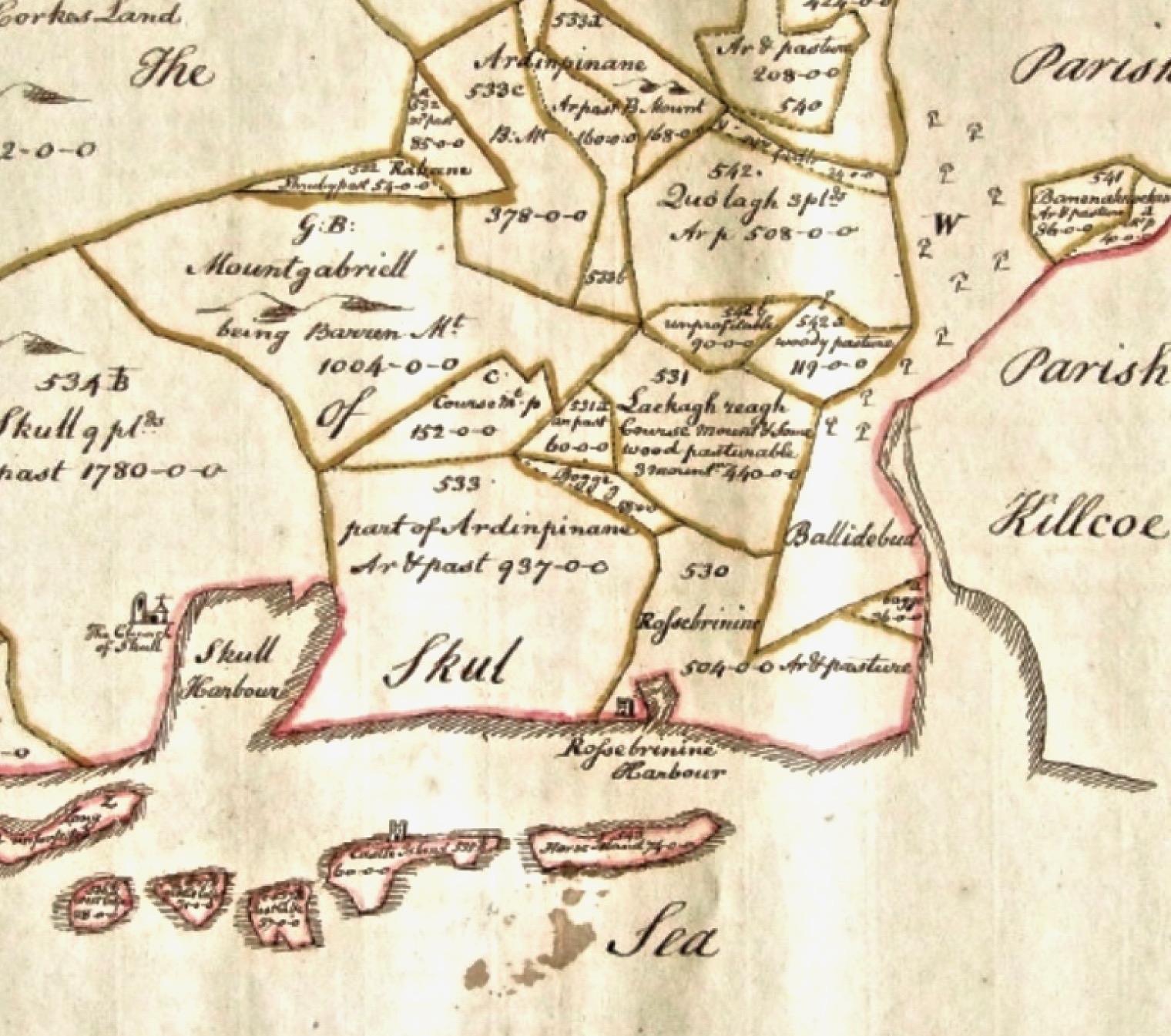 The Down Survey – Closer to Home | Roaringwater Journal