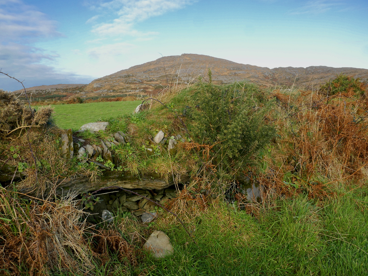 Mizen Megaliths 3: Wedges in Hedges | Roaringwater Journal
