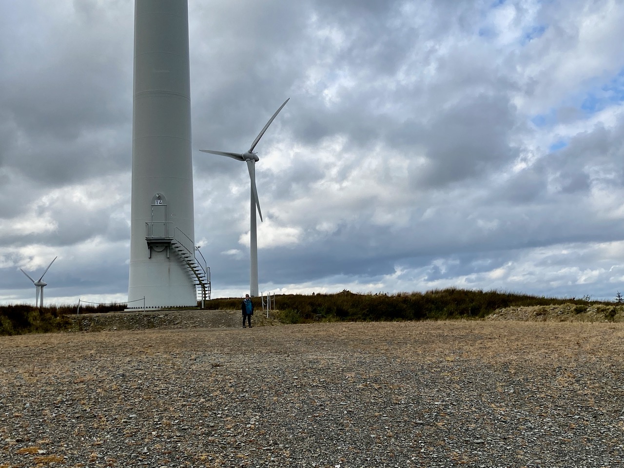 All At Sea | Roaringwater Journal