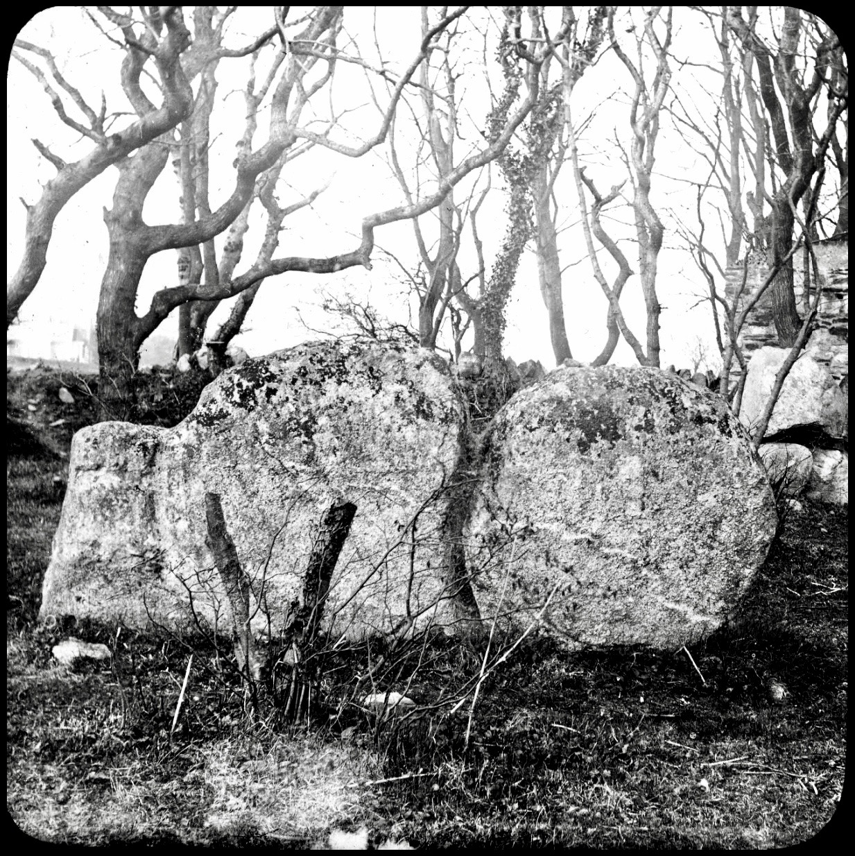 Historic Environment Viewer | Roaringwater Journal