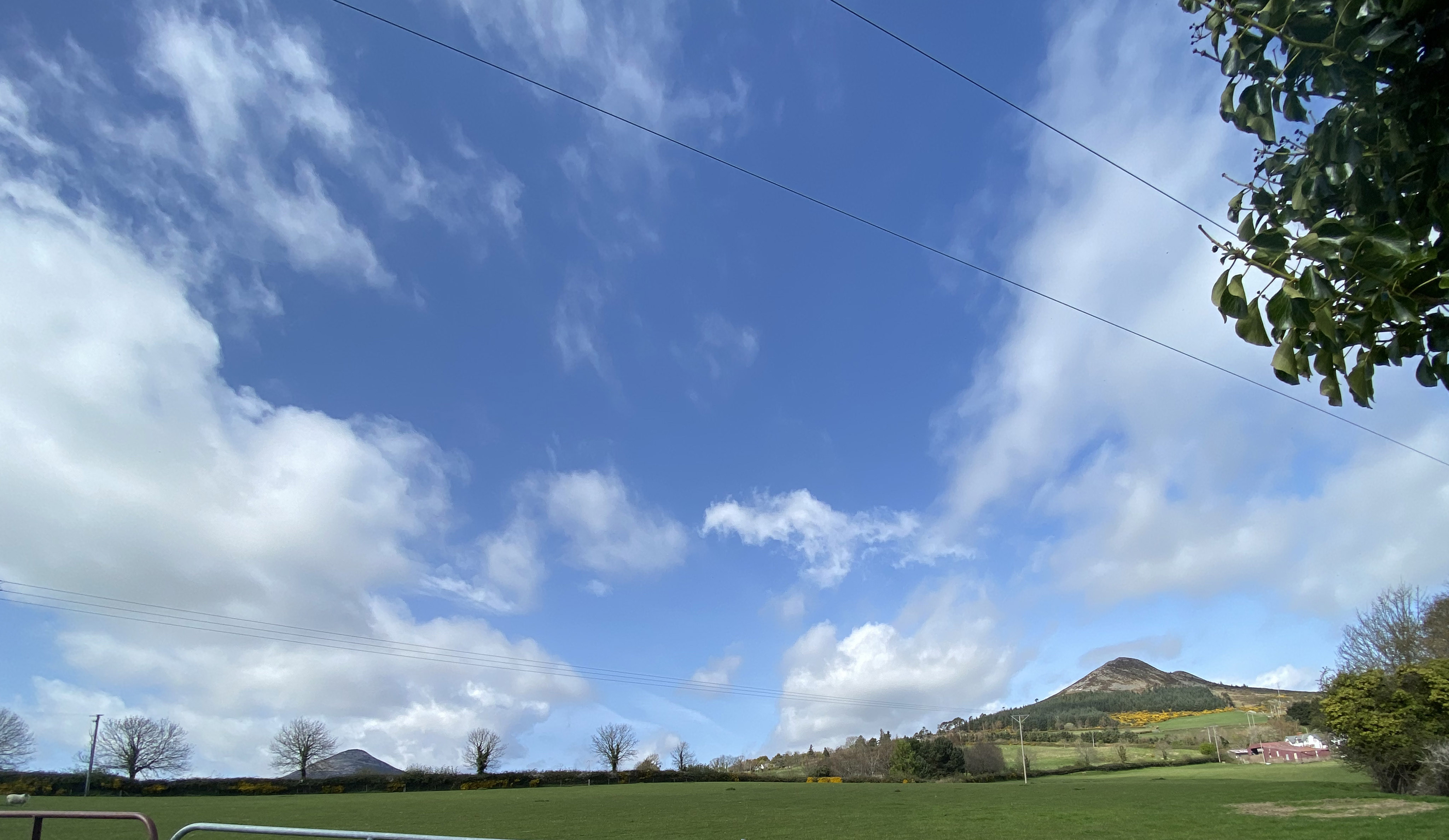 Sugar Loaf | Roaringwater Journal