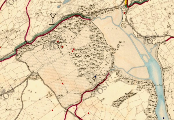 Myross Woods | Roaringwater Journal