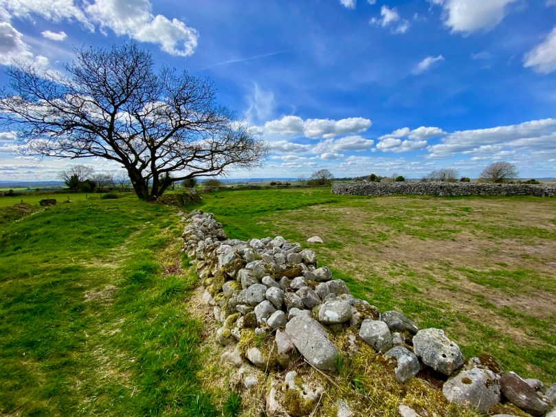 Neolithic Archaeology | Roaringwater Journal