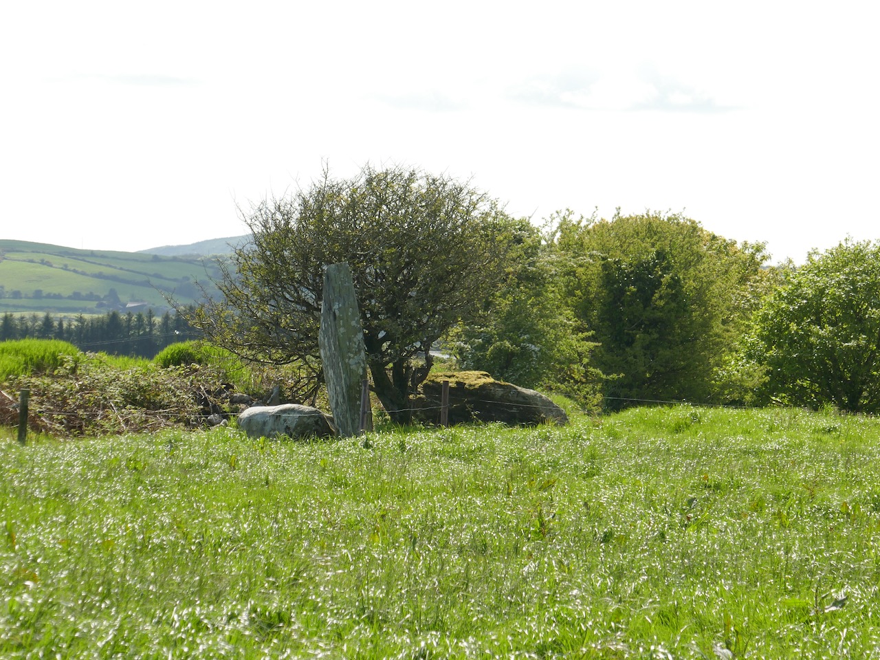 Caherkirky boulder burials | Roaringwater Journal