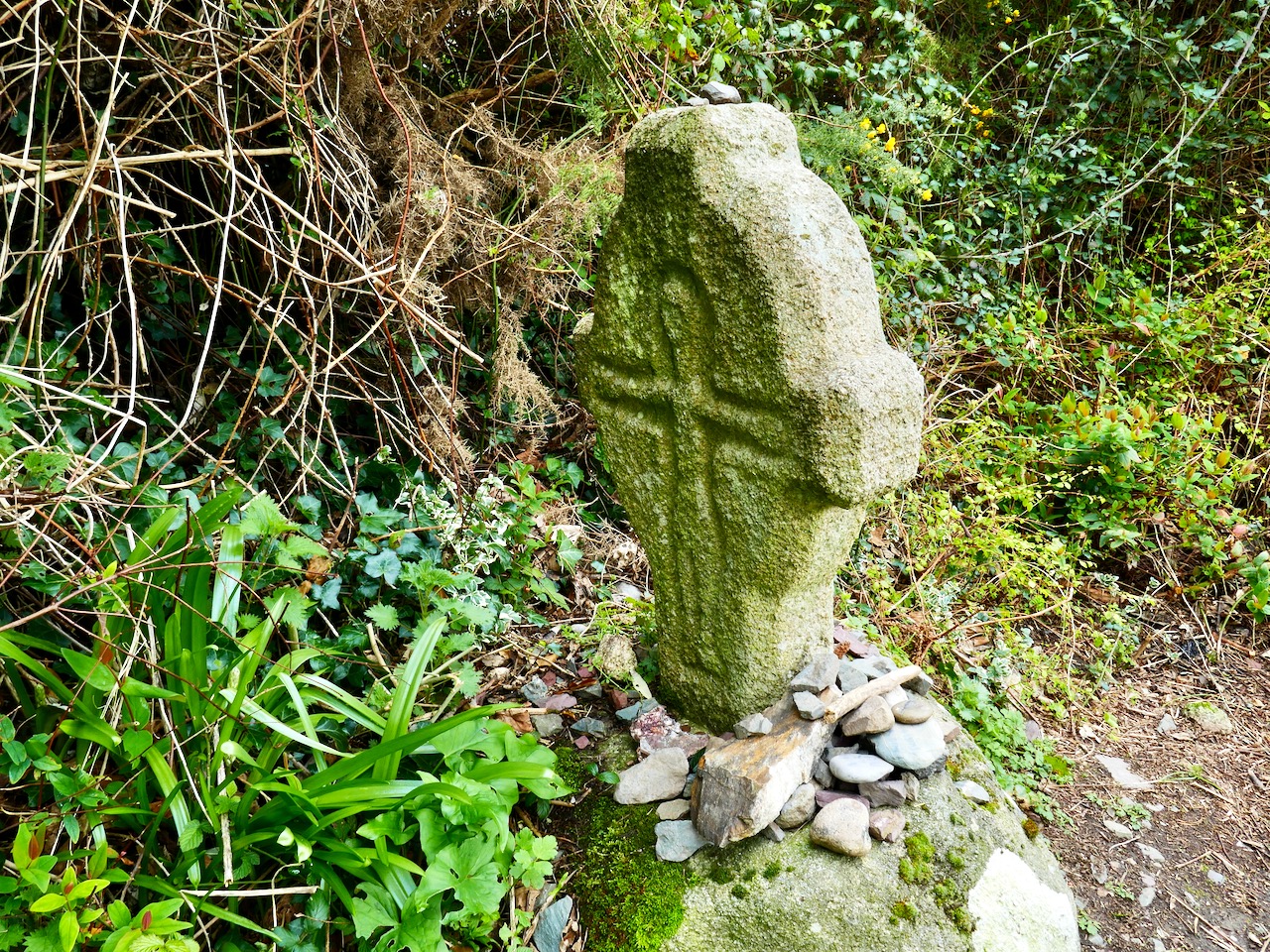 Rathmichael Historical Society | Roaringwater Journal