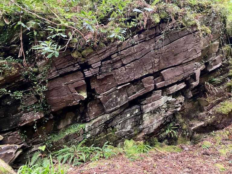 Visiting Ireland | Roaringwater Journal