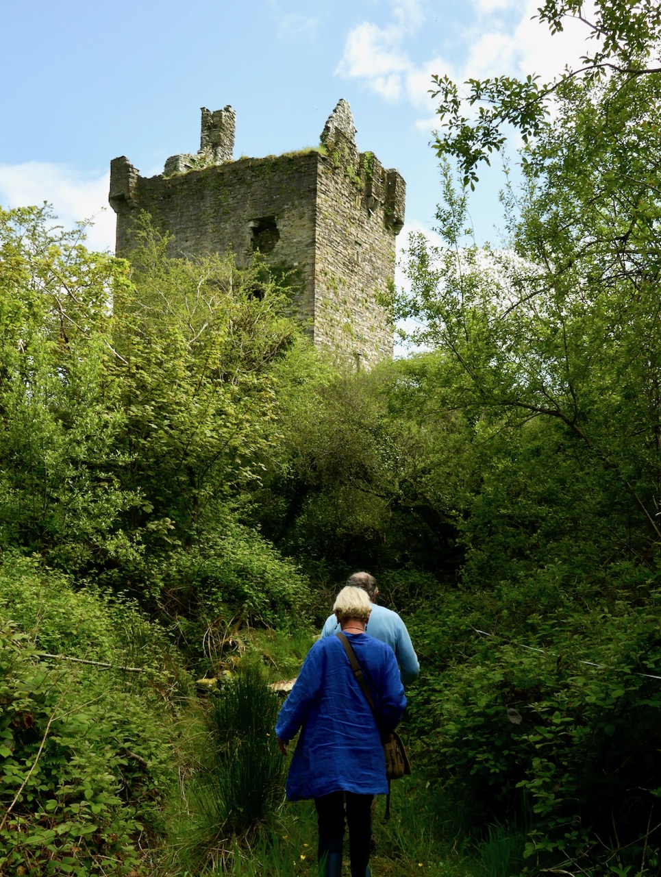 Ballinvard Castle | Roaringwater Journal
