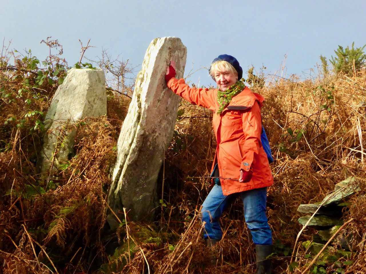 Holy Wells of Cork: The Book! | Roaringwater Journal