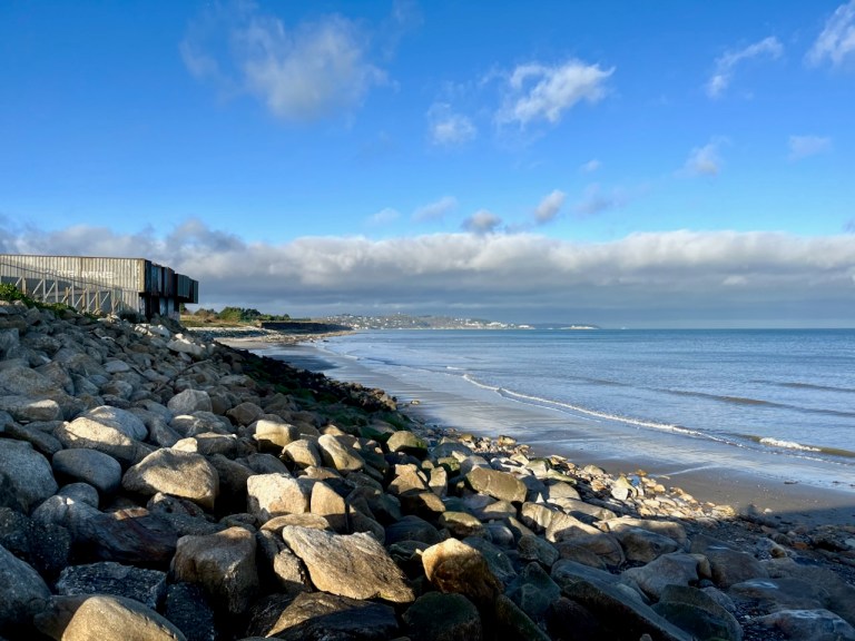 Forests | Roaringwater Journal