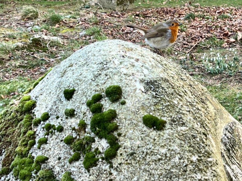 Roaringwater Journal | Page 4