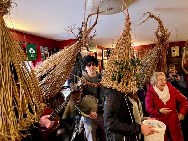 The Wran | Roaringwater Journal