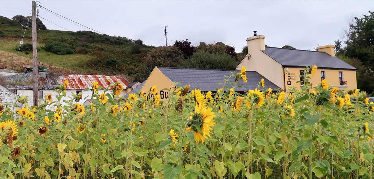 Cnoc Buí Arts Centre and 20th Century Irish Art | Roaringwater Journal