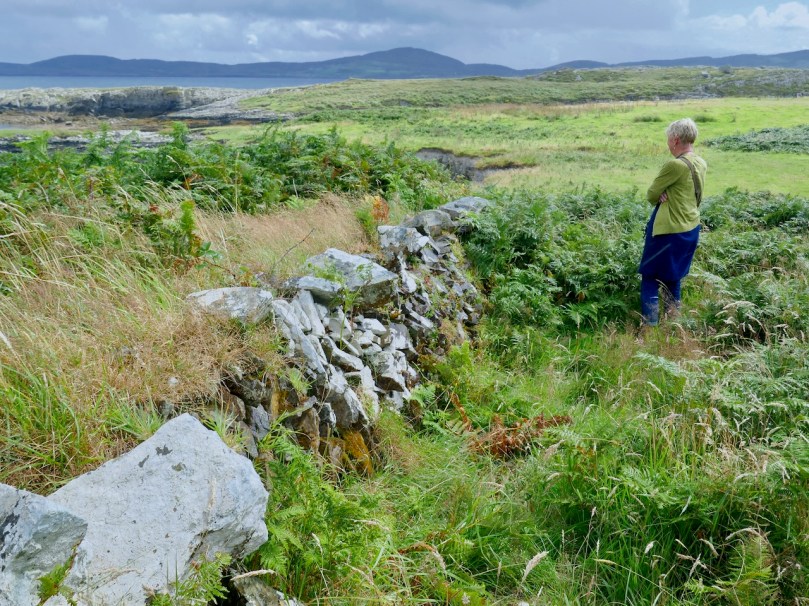 The Cliffs of Dooneen – on the Sheep’s Head | Roaringwater Journal