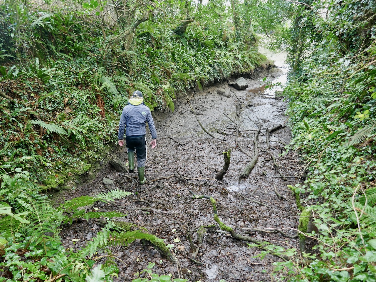 Roaringwater Journal