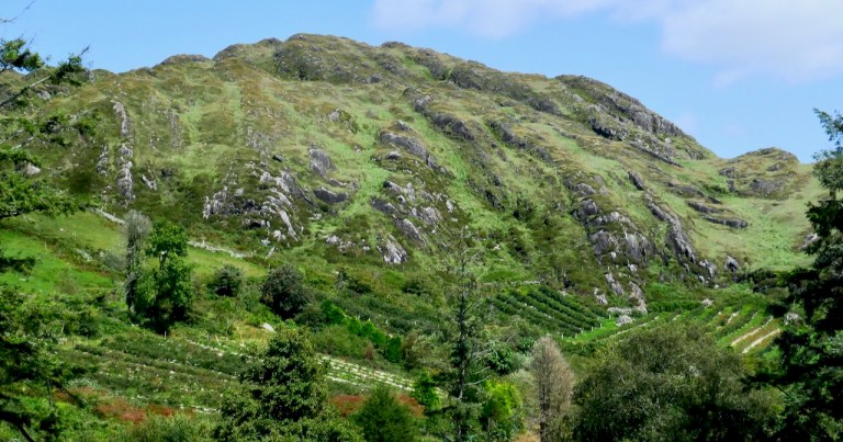 Derry Duff Farm: Miracle in the Mountains | Roaringwater Journal